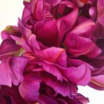 #TOAFtakeover: Freya Powell | Canvas: A Blog By Saatchi Art