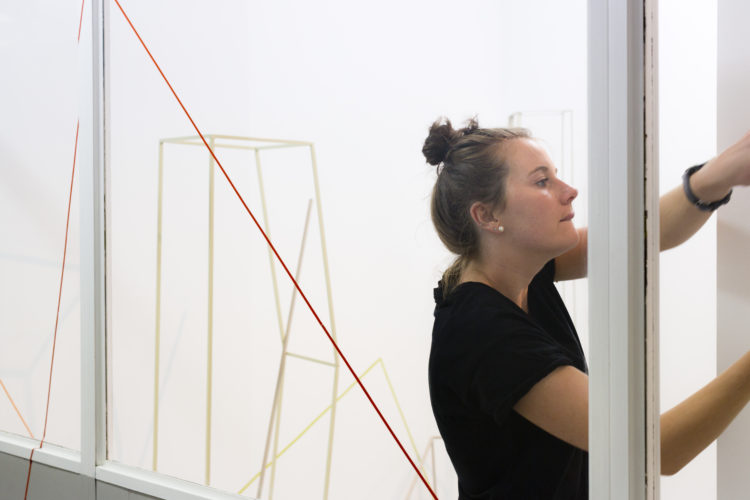 Caroline Collom encourages viewers to journey into her world of ...