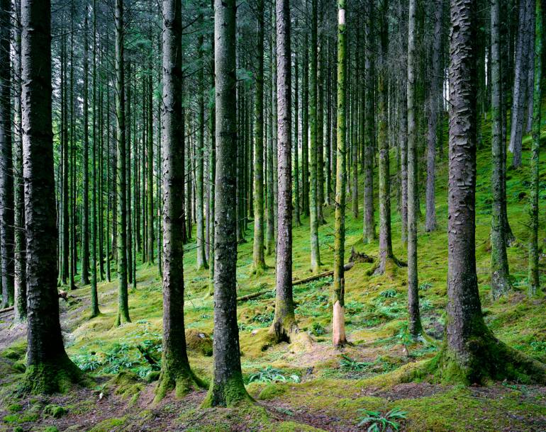 Collector Favorites: Bestselling Artists of June | Canvas: A Blog By ...